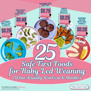 25 Safe First Foods for Baby Led Weaning (What Actually Works at 6 ...